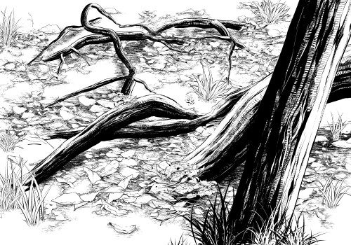 Fallen Leaves | MANGA MATERIALS