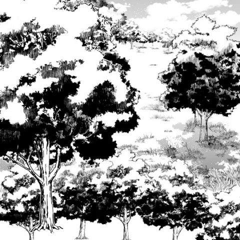 Black Tree (Shonen Style) Brush – MANGA MATERIALS